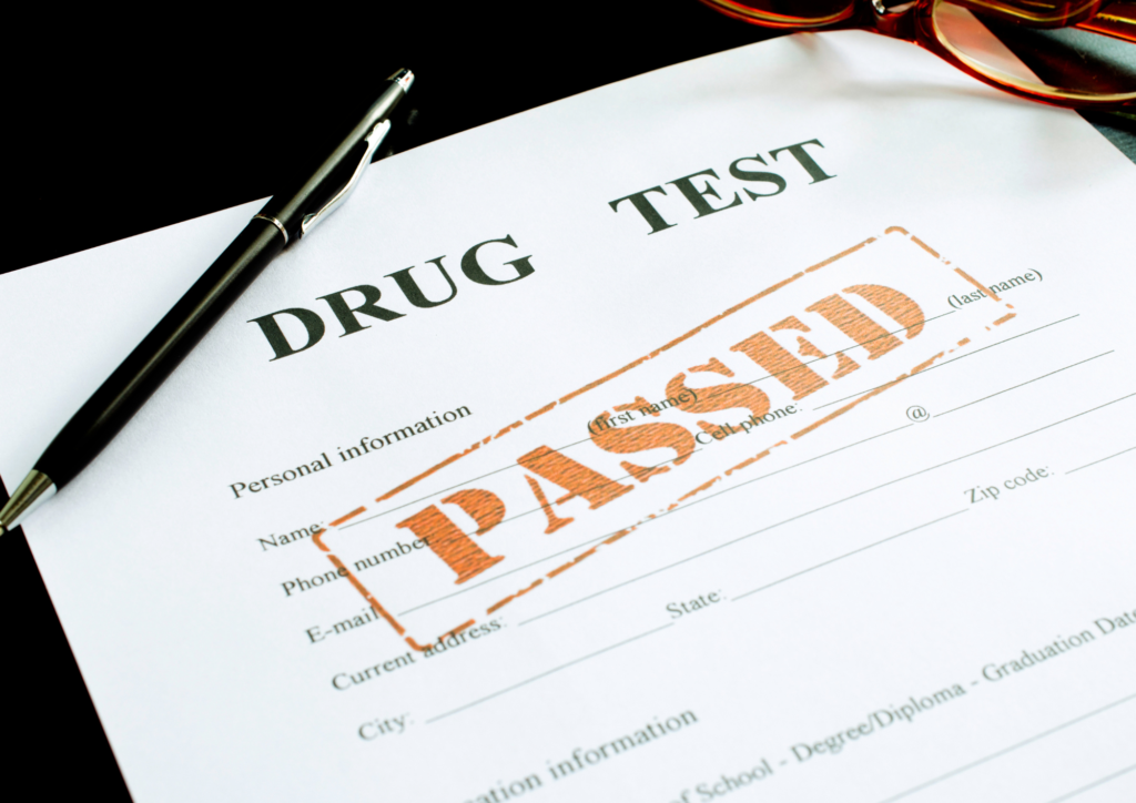 The Role of Drug Testing in Probation: Building Accountability and ...